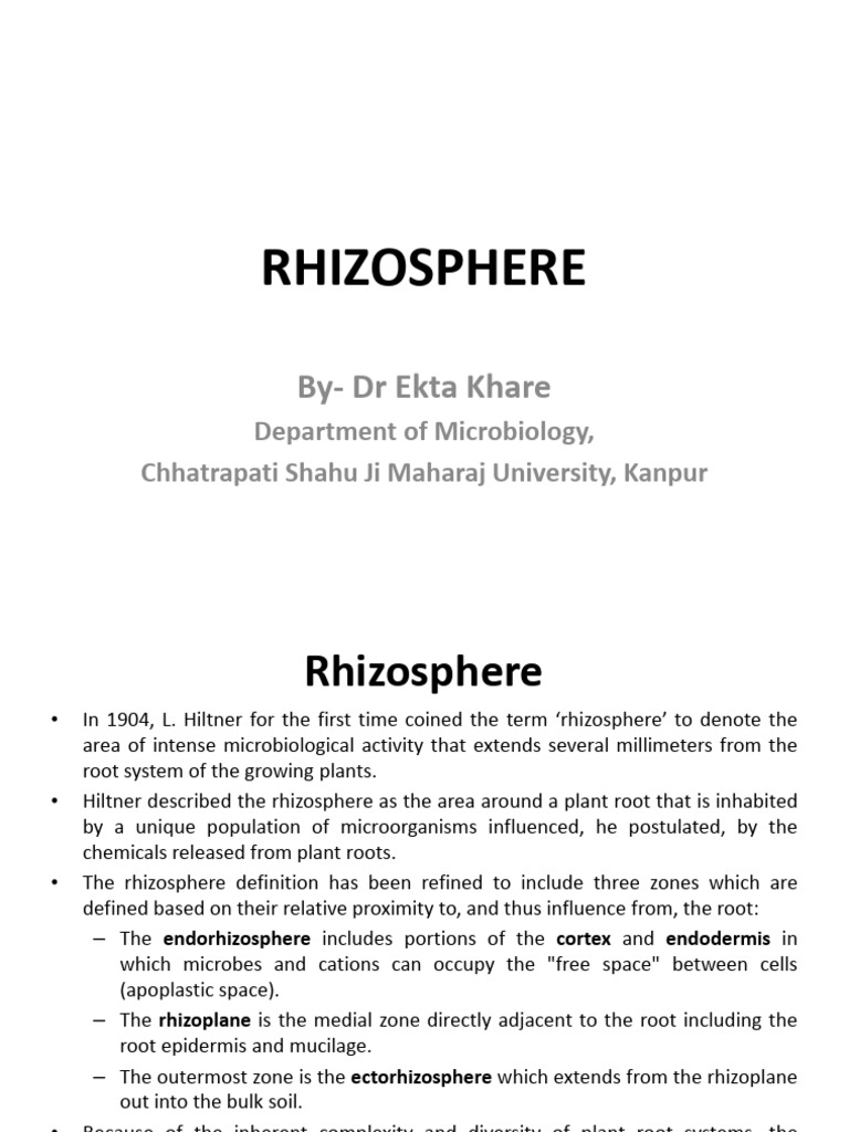 Rhizosphere | PDF
