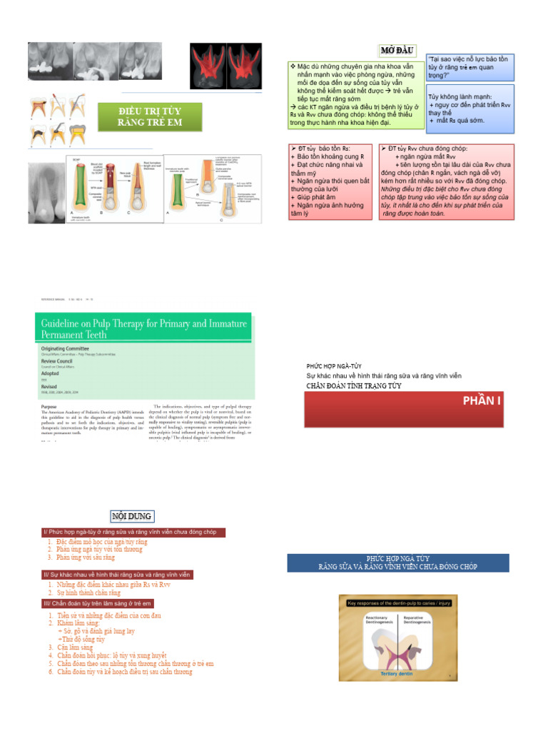 Dieutrituy NkTE 2017 2019 | PDF