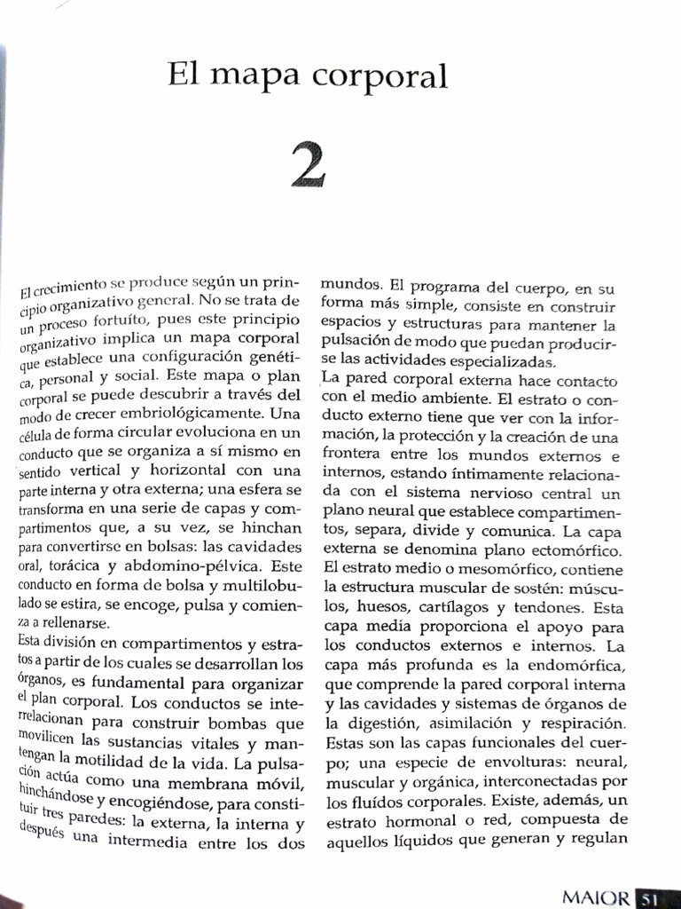 El Mapa Corporal | Descargar gratis PDF | Sistema nervioso | Morfología (biología)