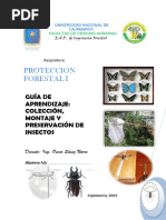 Evolución de Insectos: Cronología y Origen | PDF | Insectos | Escala de ...