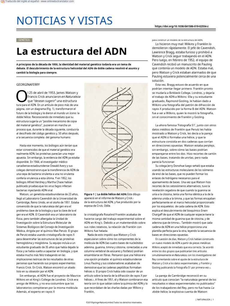 1 Estructura Del ADN | PDF | James Watson | Adn