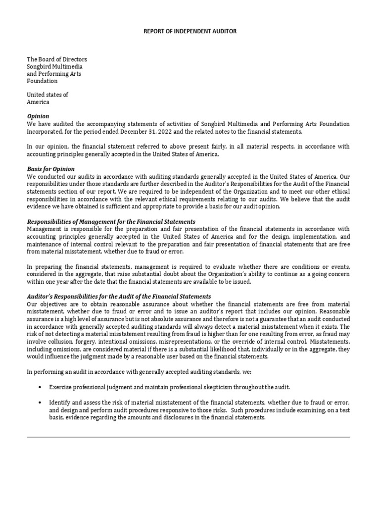 Audit Report - Book1 - Merged | PDF