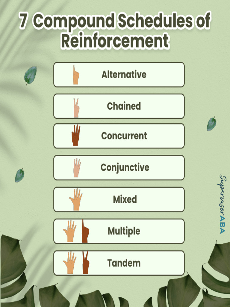 7 Types of Reinforcement Schedules | PDF