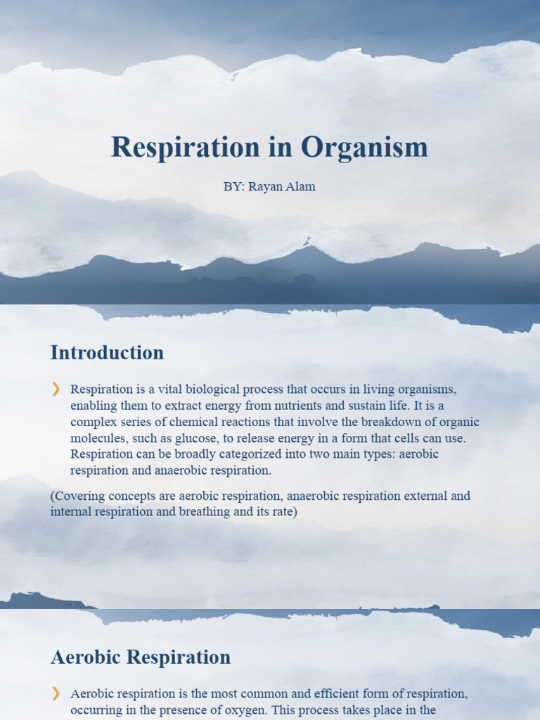 Respiration in Organism | PDF | Cellular Respiration | Respiratory System