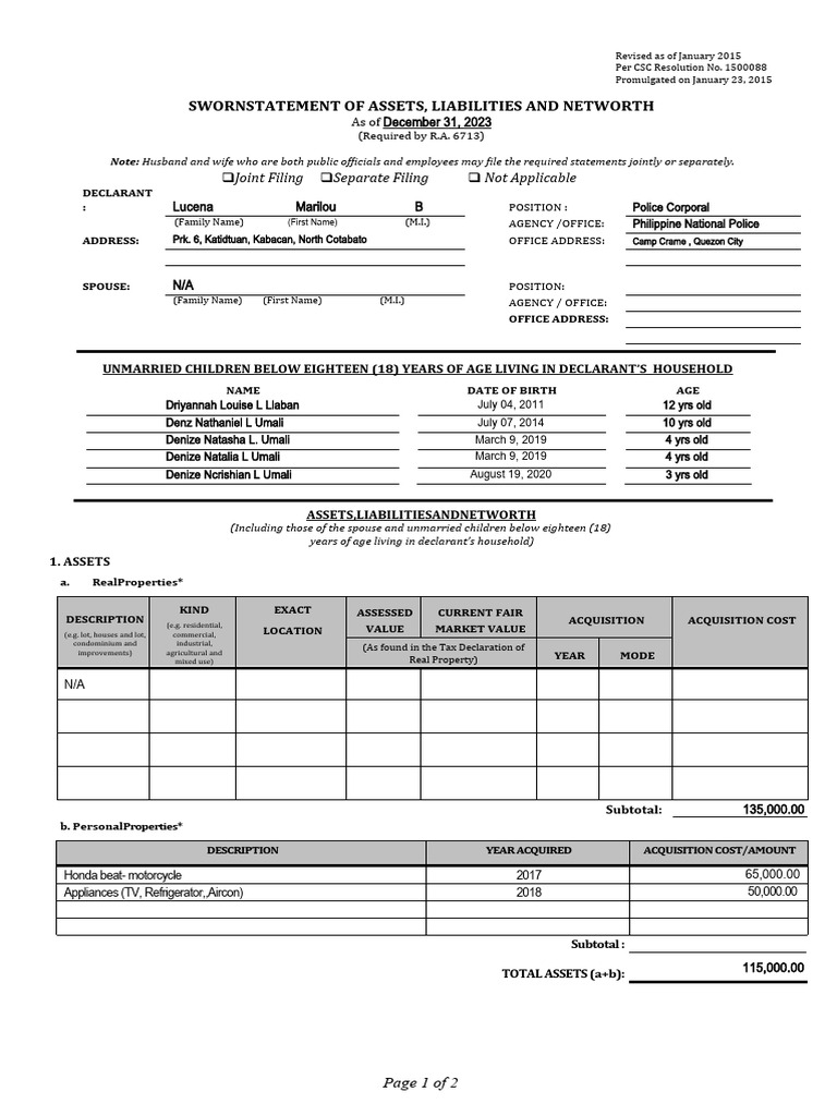 Saln Format -New 2023 Malou | PDF | Net Worth | Business Economics