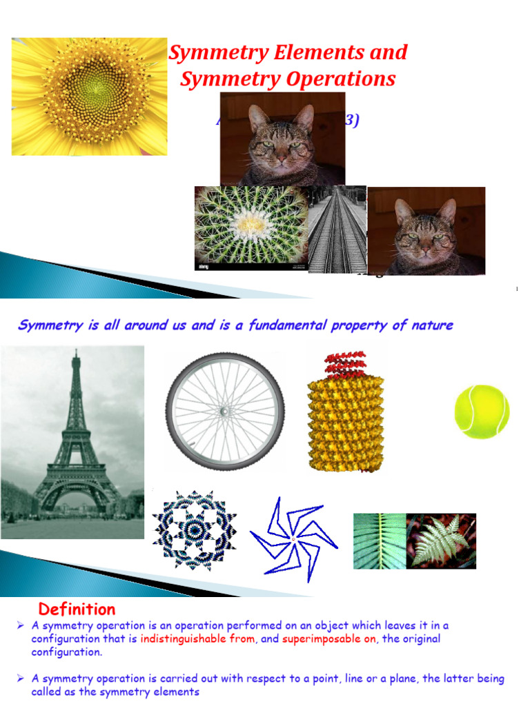 Symmetry Elements and Operations 11723 | PDF | Classical Geometry ...