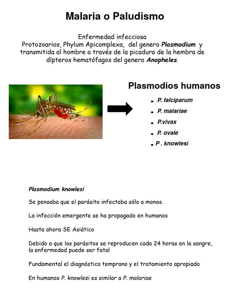 Malaria: Causas, Síntomas y Diagnóstico | PDF | Malaria | Plasmodium
