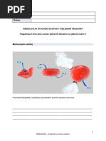 Ponavljanje - Regulacija Stalnoga Sastava Tjelesnih Tekućina U Organizama | PDF