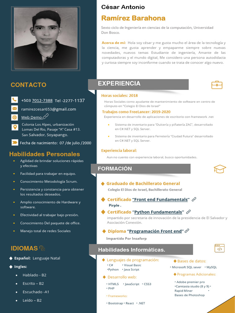 CV - César Ramírez | PDF | Script Java | Php