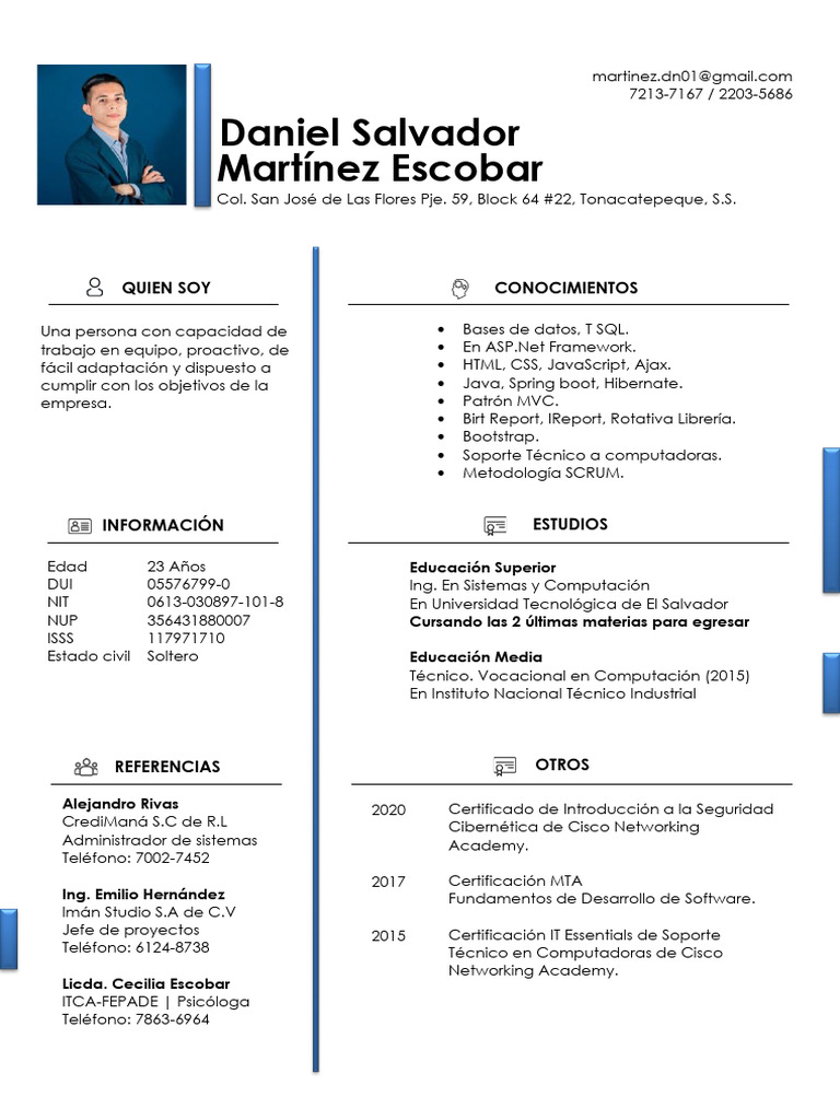 Perfil Profesional en Desarrollo Web | PDF | Informática | Ingeniería ...