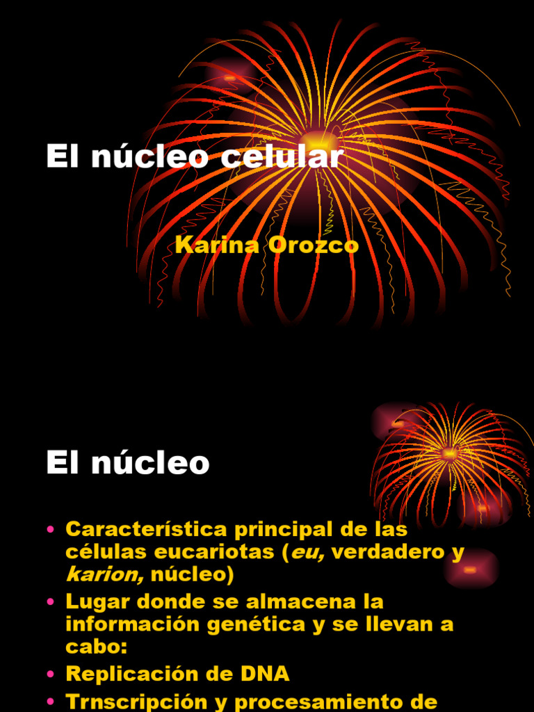 13.núcleo Celular | PDF