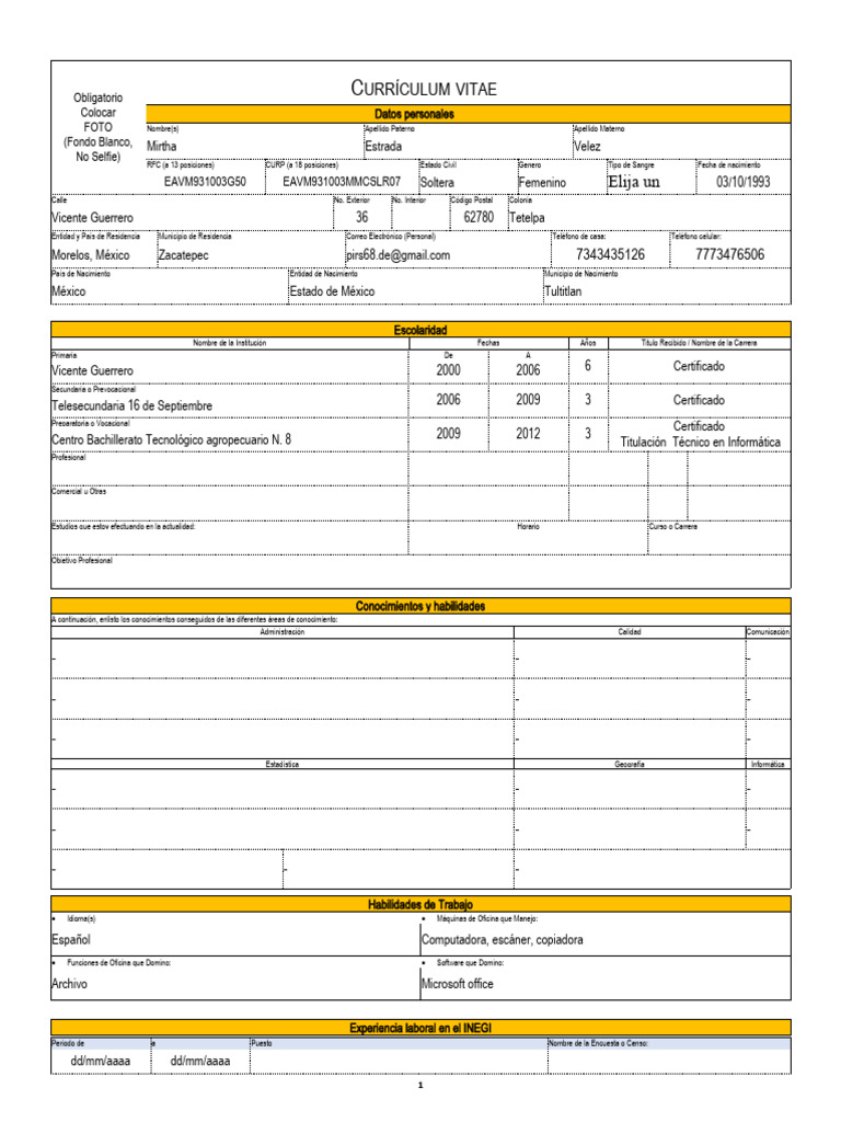 Curriculum MEV | PDF