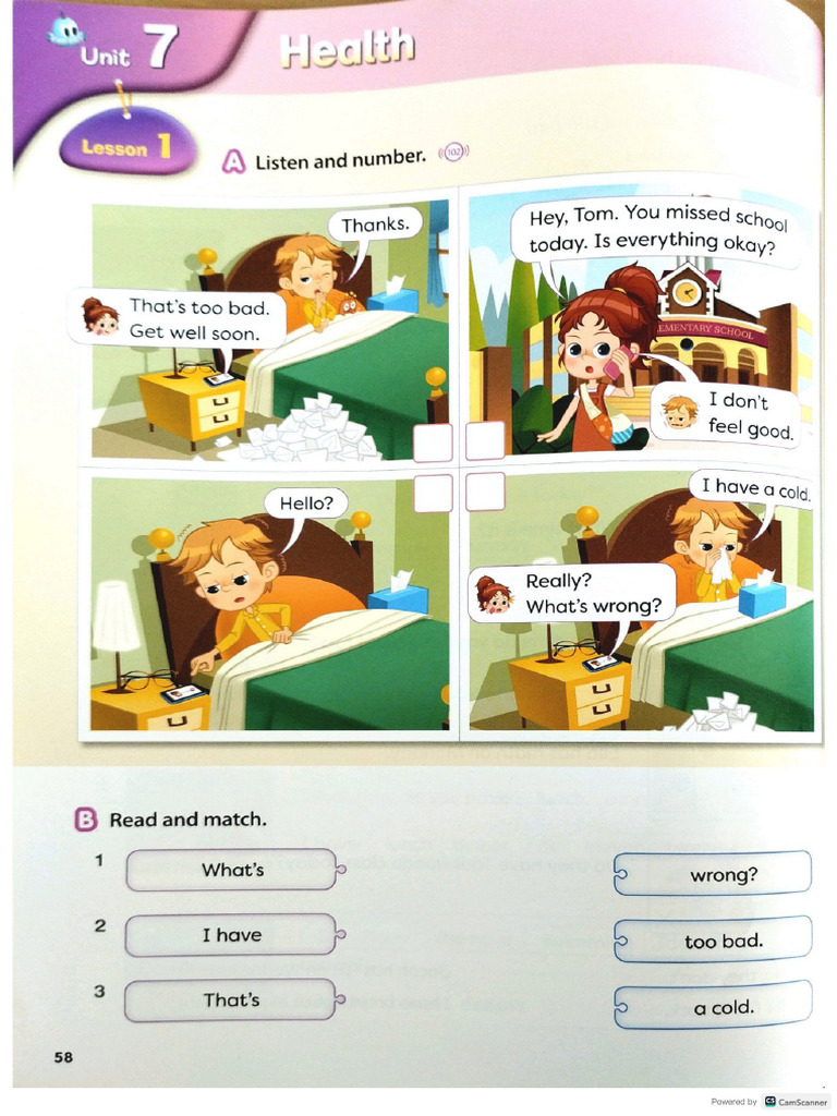 3rd Grade - Unit 7 | PDF