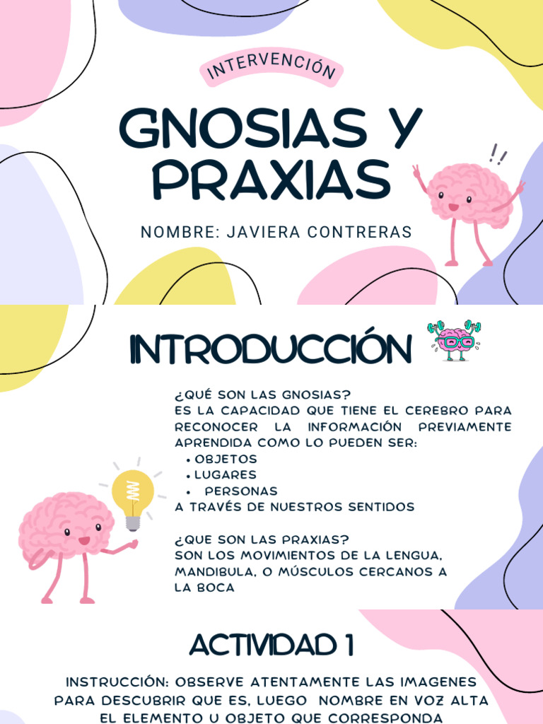 Gnosias y Praxias | PDF
