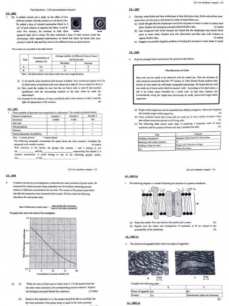 Cell and Membrane Transport | PDF | Cell (Biology) | Microscope