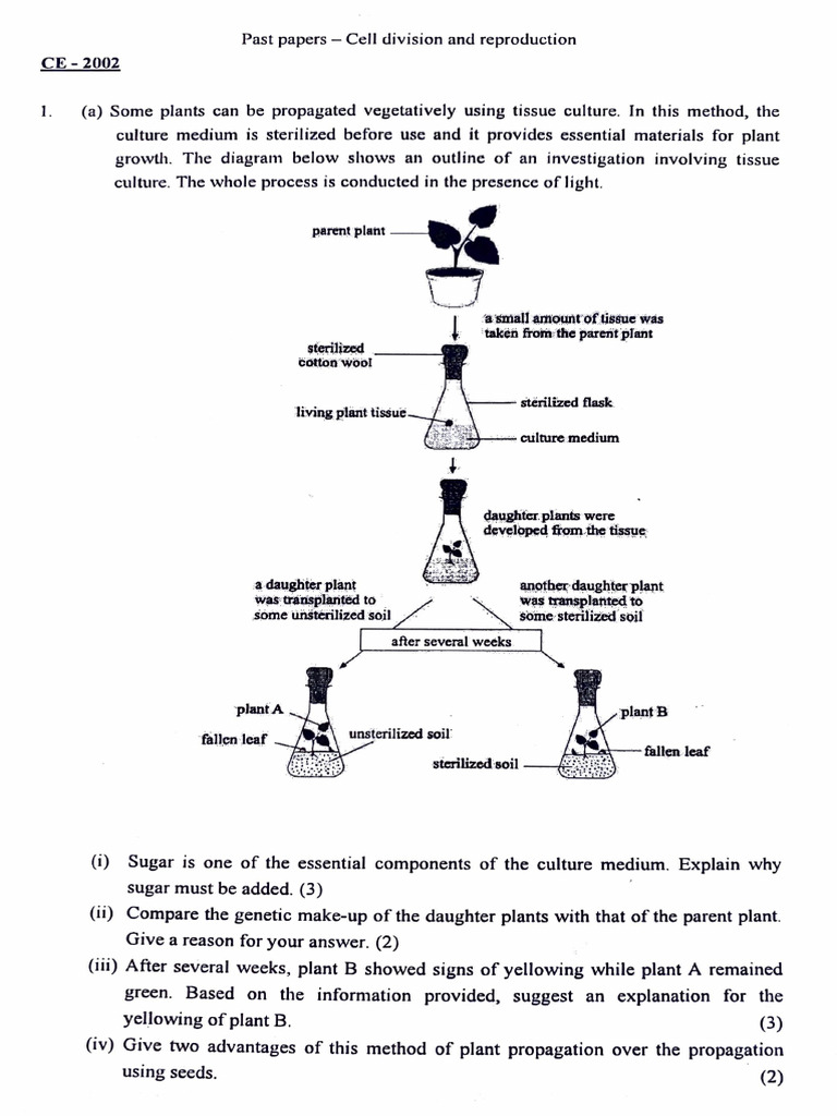 Cell Division and Reproduction | PDF