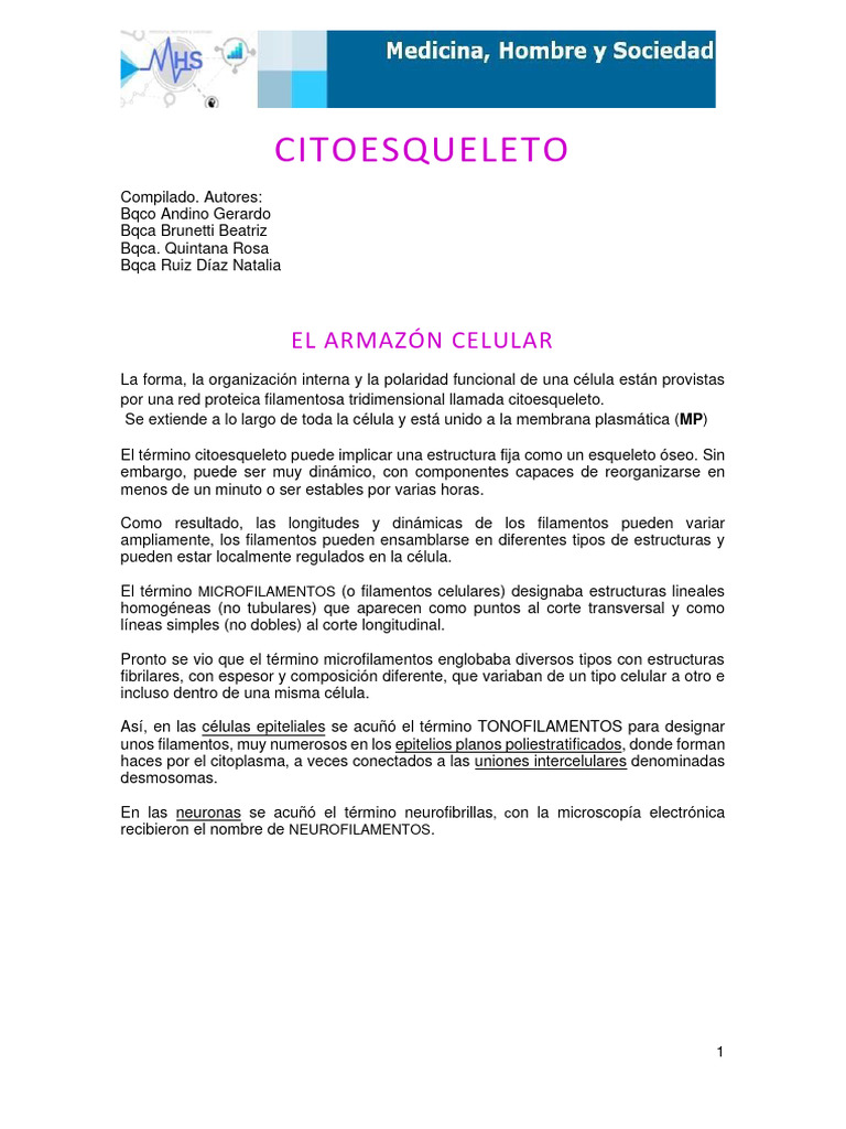 (2023) - Citoesqueleto | PDF | Actina | Músculo esquelético