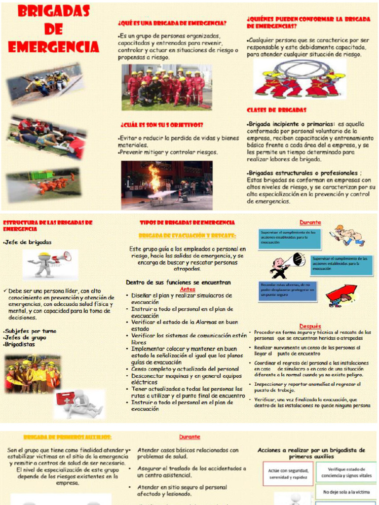 TRIPTICO Brigada de Emergencia | PDF