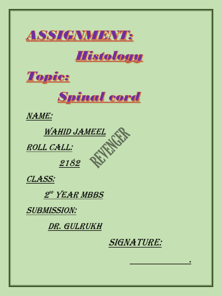 ASSIGNMEN1 | PDF | Spinal Cord | Vertebral Column