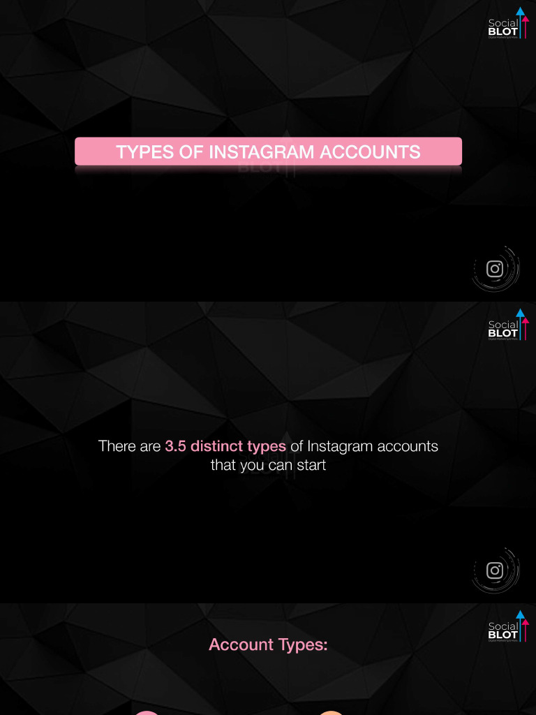 Module 2.1 Types of Instagram Accounts | PDF