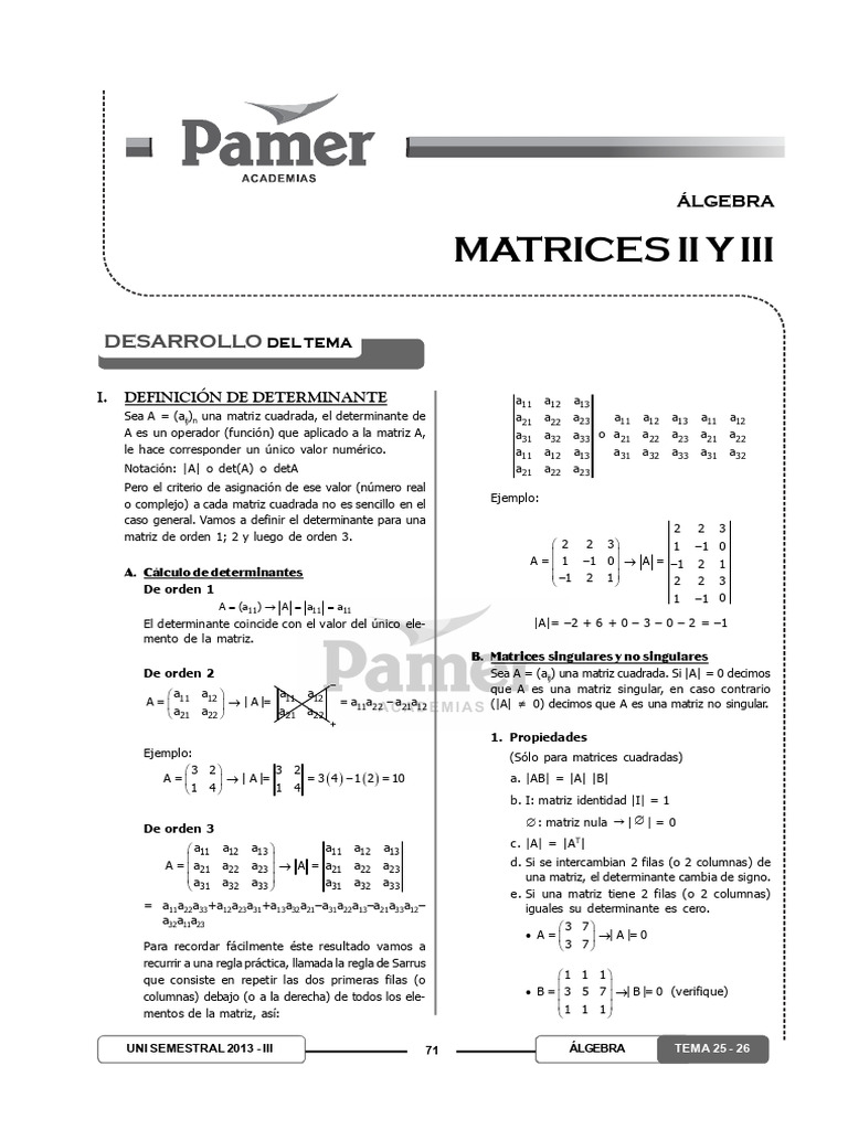 Tema 24 - Matrices II y III | PDF | Matriz (Matemáticas) | Determinante