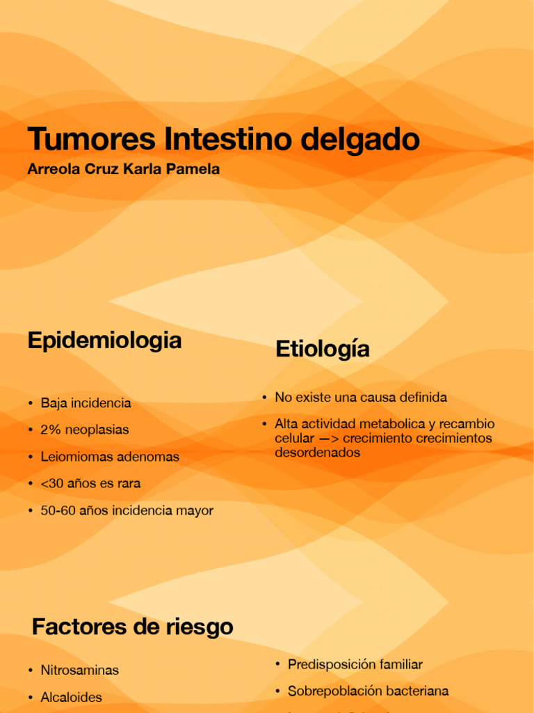 Tumores del Intestino Delgado: Epidemiología y Tratamiento | PDF ...