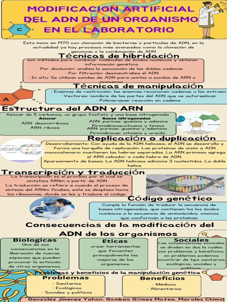 Colorful Illustrative DNA Day Science Educational Infographic ...