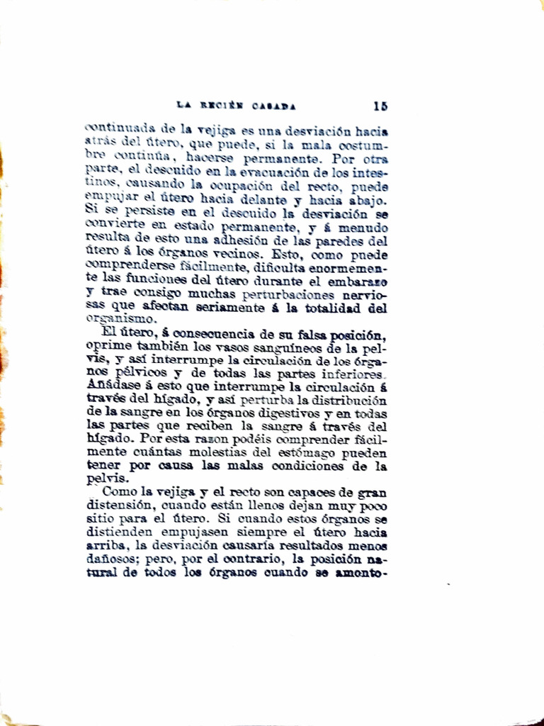 Lo Que Debe Saber 5 | PDF | Anatomía | Pelvis