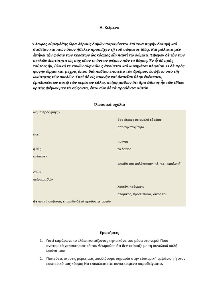 Ancient Greek EXAM | PDF