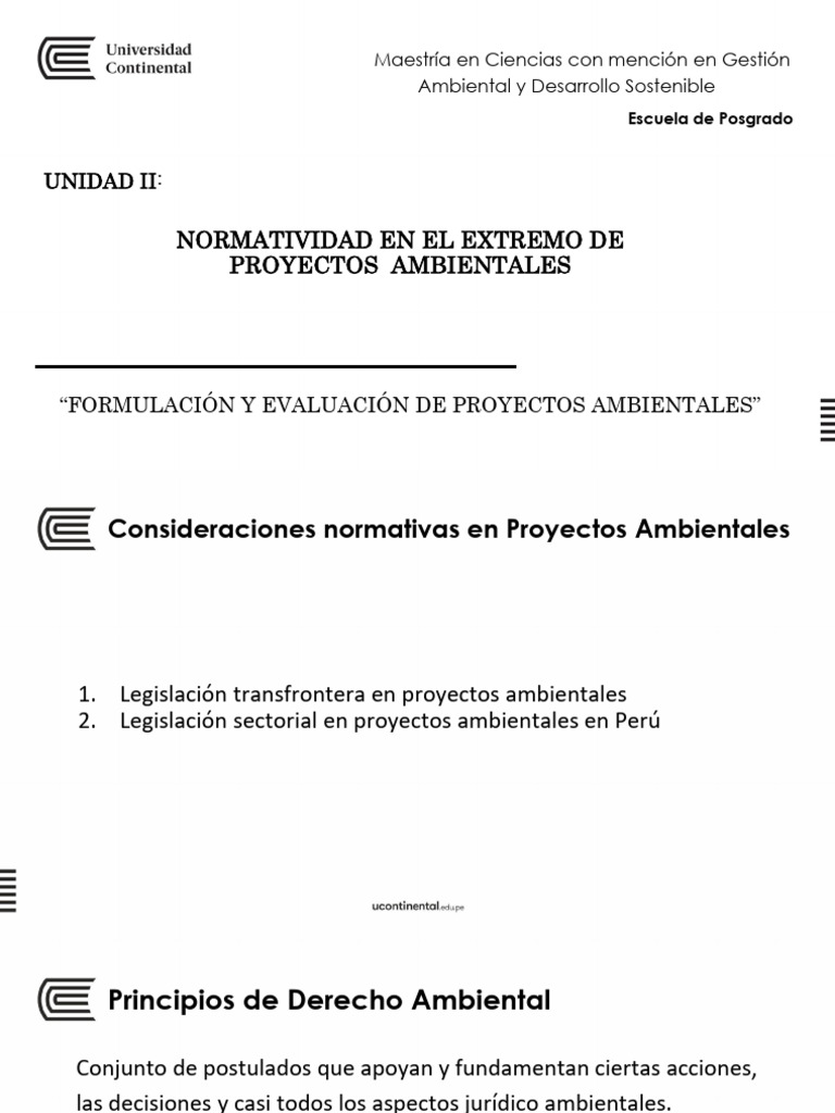 4 - UNIDAD II - PPT - Videoclase MGAD DOC PRADO - 2022 | PDF | Entorno natural | Minería