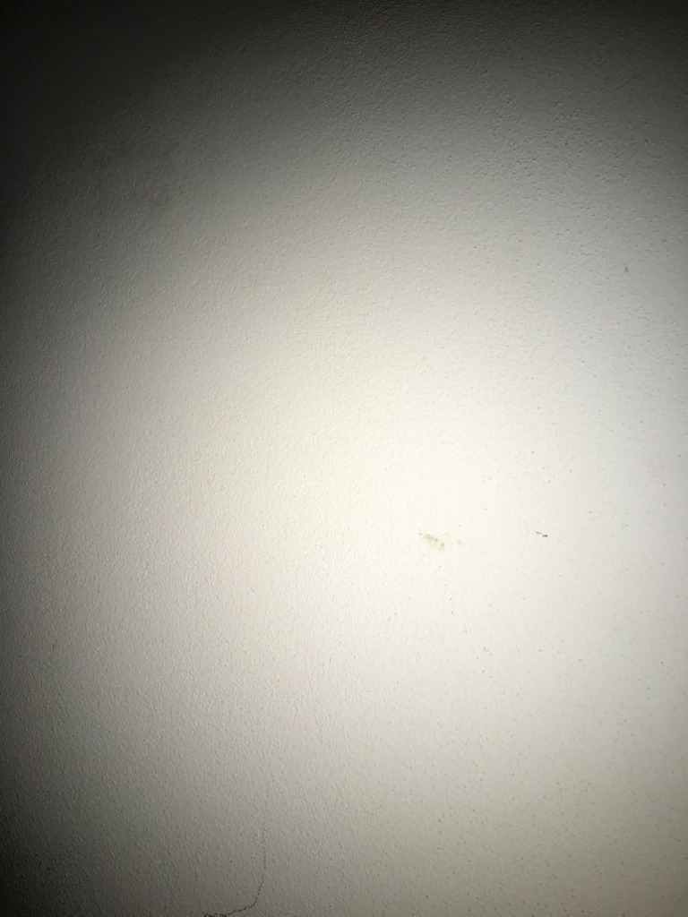 Albul de Perete | PDF