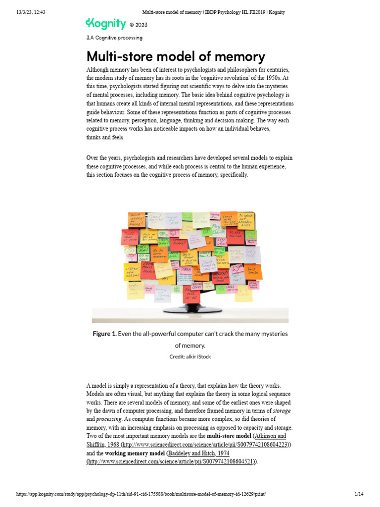 Multi-Store Model of Memory - IBDP Psychology HL FE2019 - Kognity | PDF ...