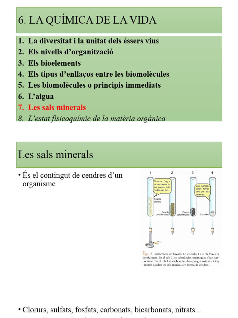 Unitat 6. Sals Minerals | PDF