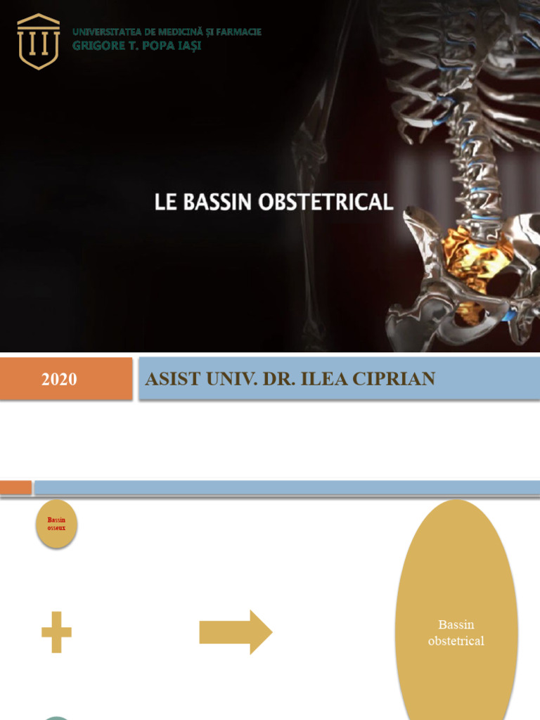 Anatomie et Examen du Bassin Obstétrical | PDF | Bassin (anatomie ...