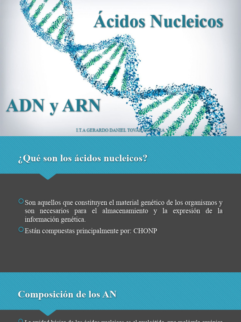 C14 Acidos Nucleicos | Descargar gratis PDF | Rna | Adn