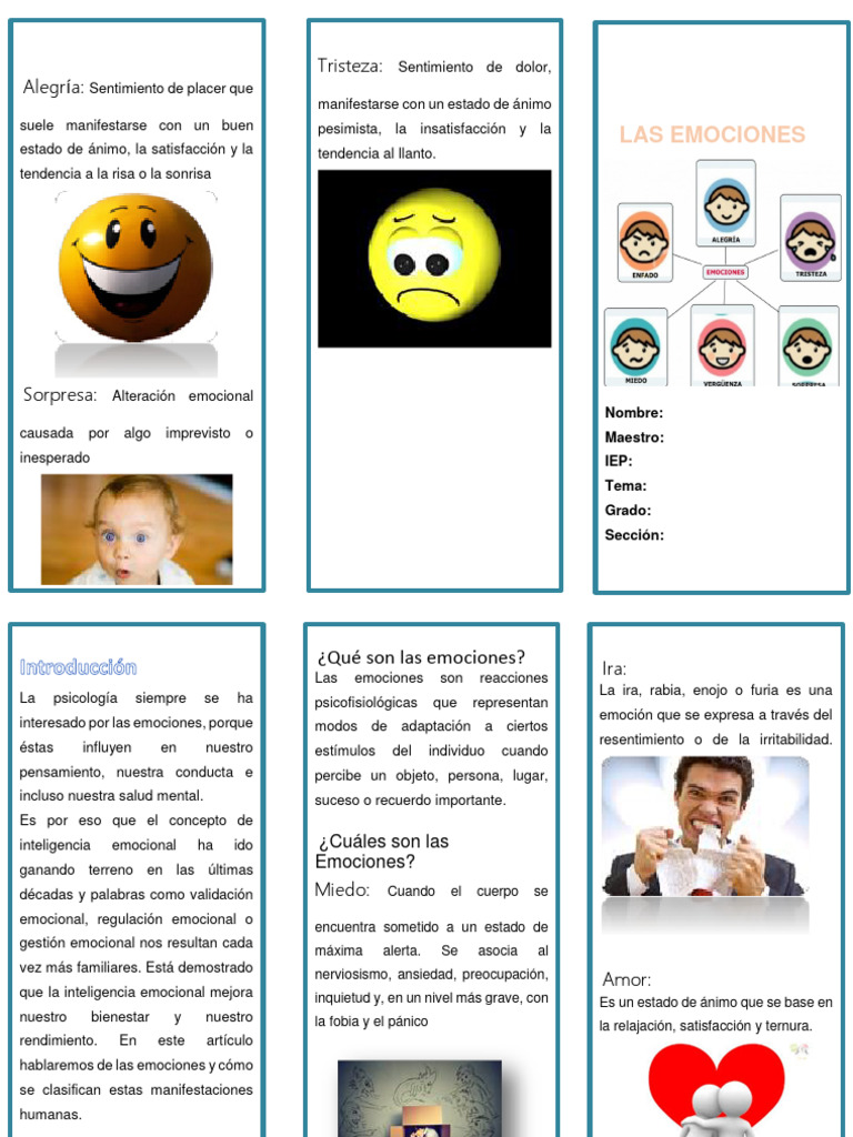 Las Emociones | PDF | Las emociones | Ira