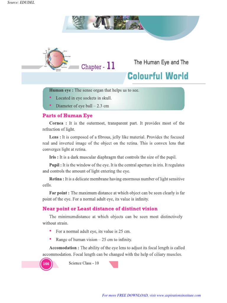 10 Sci The Human Eye and The Colourful World Notes | PDF | Human Eye | Eye