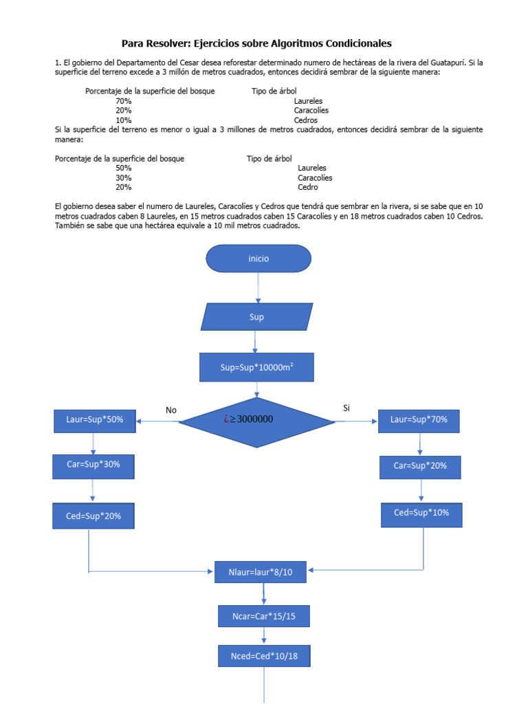 Ejercicio para Resolver-Algoritmos Condicionales | PDF