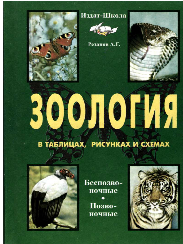 1rezanov A G Zoologiya V Tablitsakh Skhemakh I Risunkakh 7 8 1 | PDF