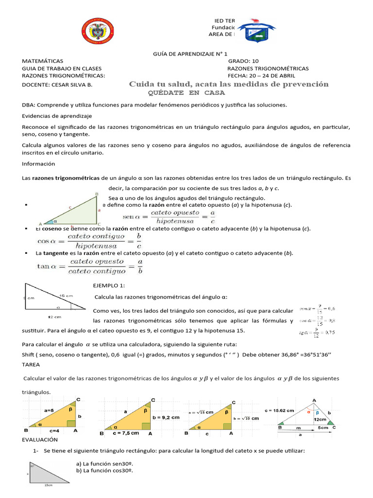 10 Guia 1 Razones Trigonometricas | Descargar gratis PDF | Funciones trigonométricas | Trigonometría