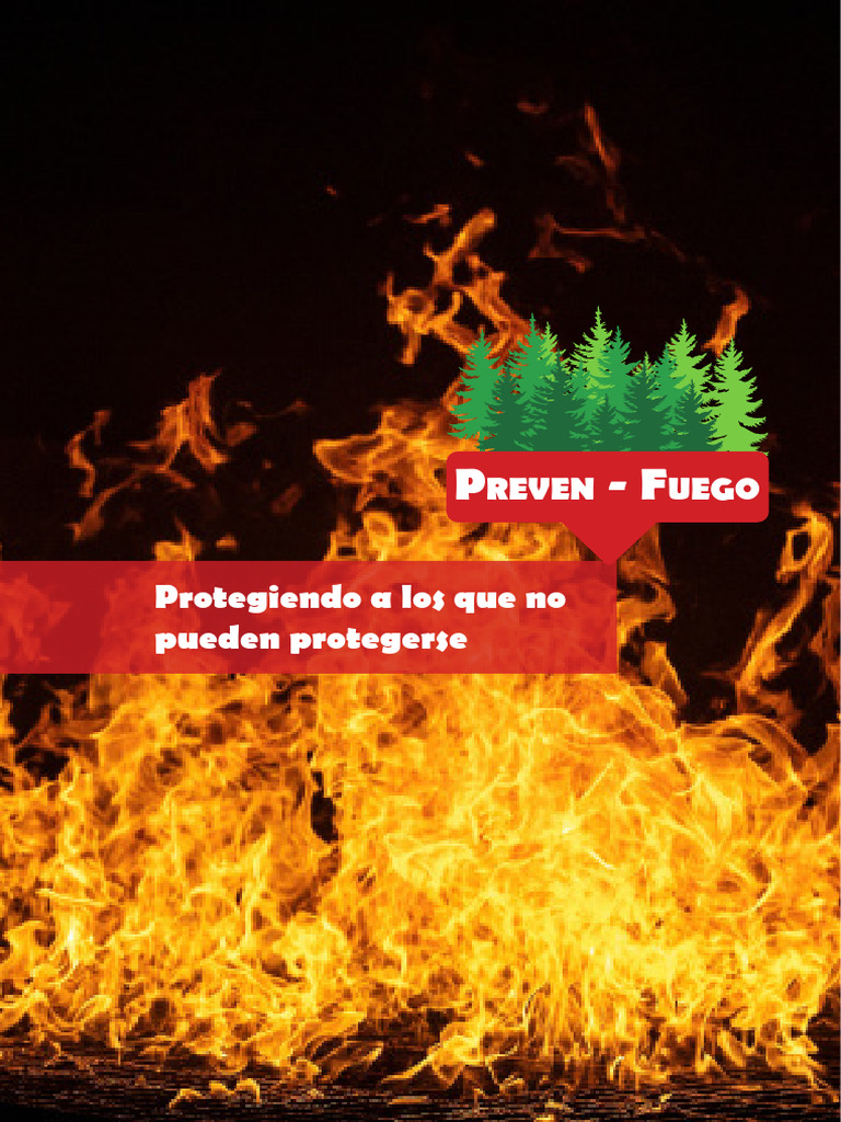 Proyecto Asir | PDF
