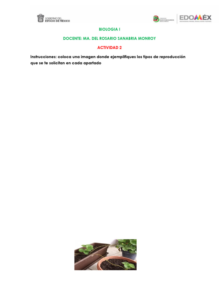 Actividad 2 Biologia Ii | PDF