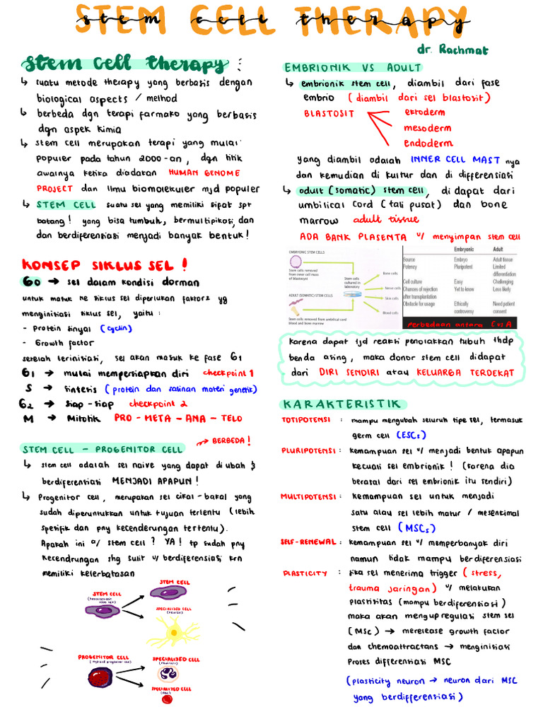 Stem Cell Therapy | PDF
