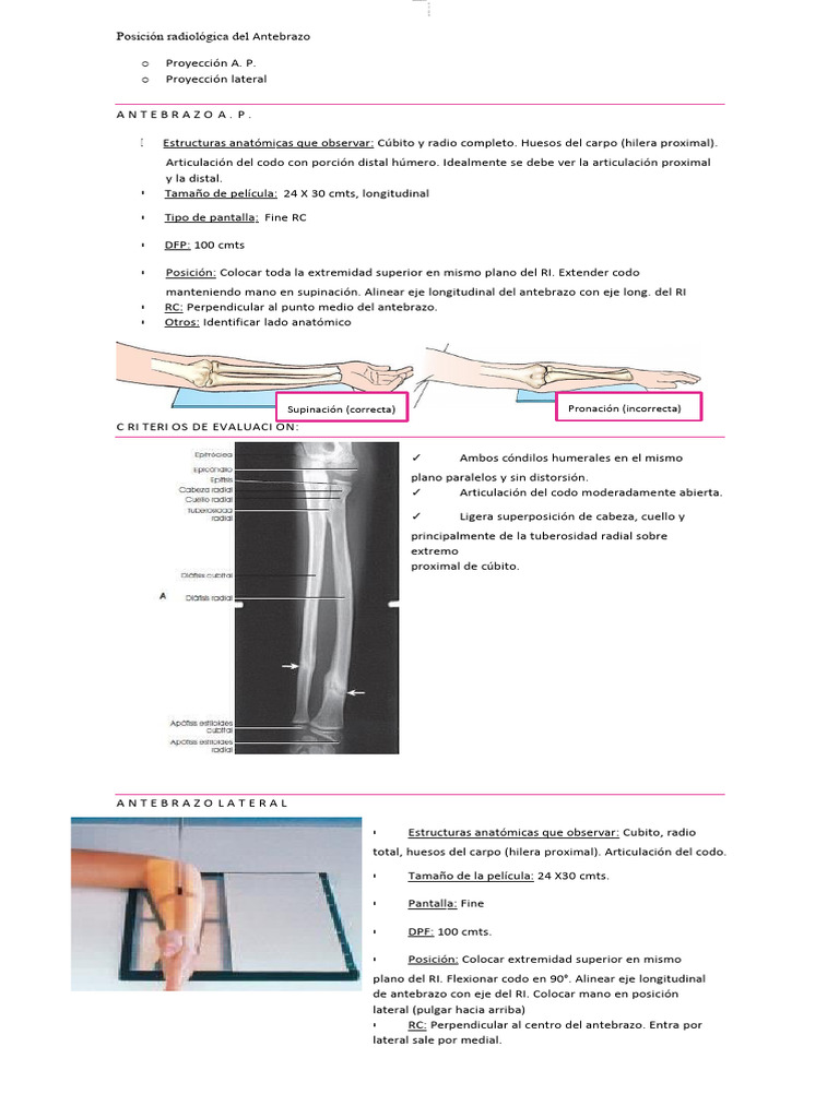 Proyecciones De Codo Pdf Codo Mano