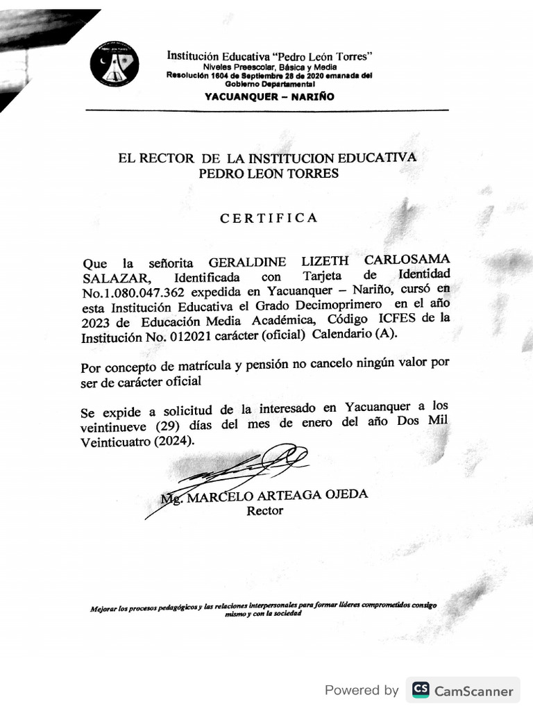 Constancia Colegio Oficial | PDF