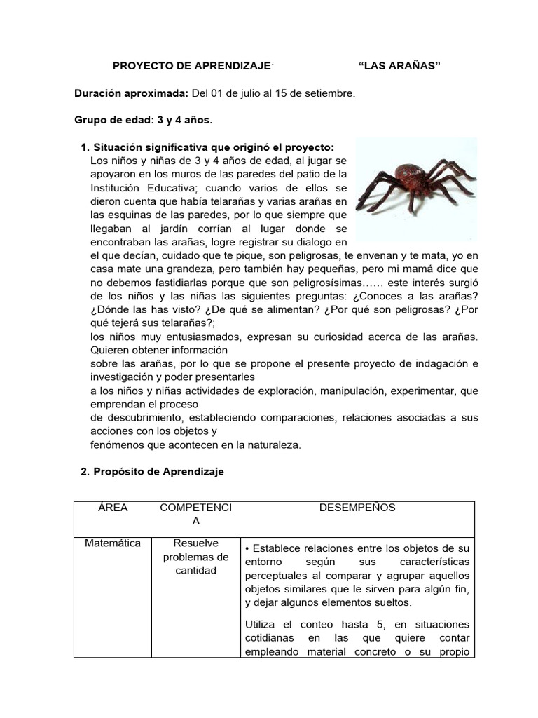 Proyecto de Aprendizaje: Las Arañas | PDF | Información | Curiosidad