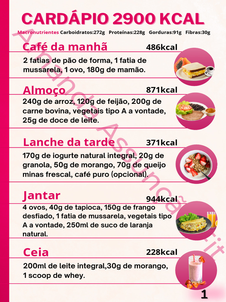 2900 Kcal | PDF