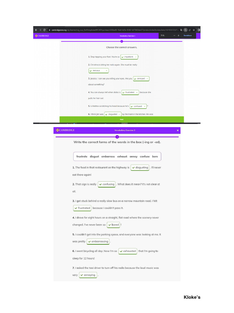 Unit 14 Cambrige Actividades Plataforma | PDF