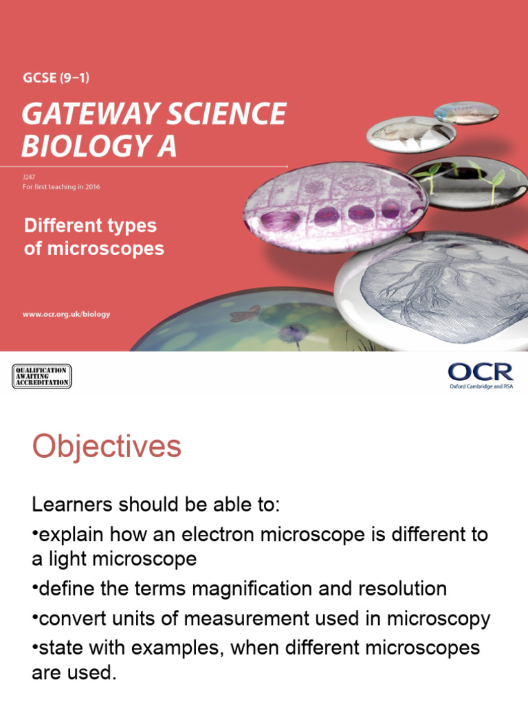 Light and Electronic Microscope | PDF | Microscope | Electron Microscope