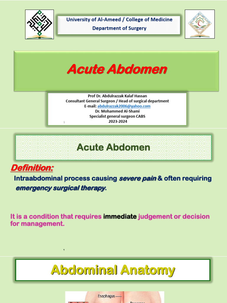L 8 Acute Abdomen | PDF | Abdomen | Nausea